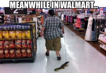 35 Hilarious Walmart Memes As Lawless As The Store Itself