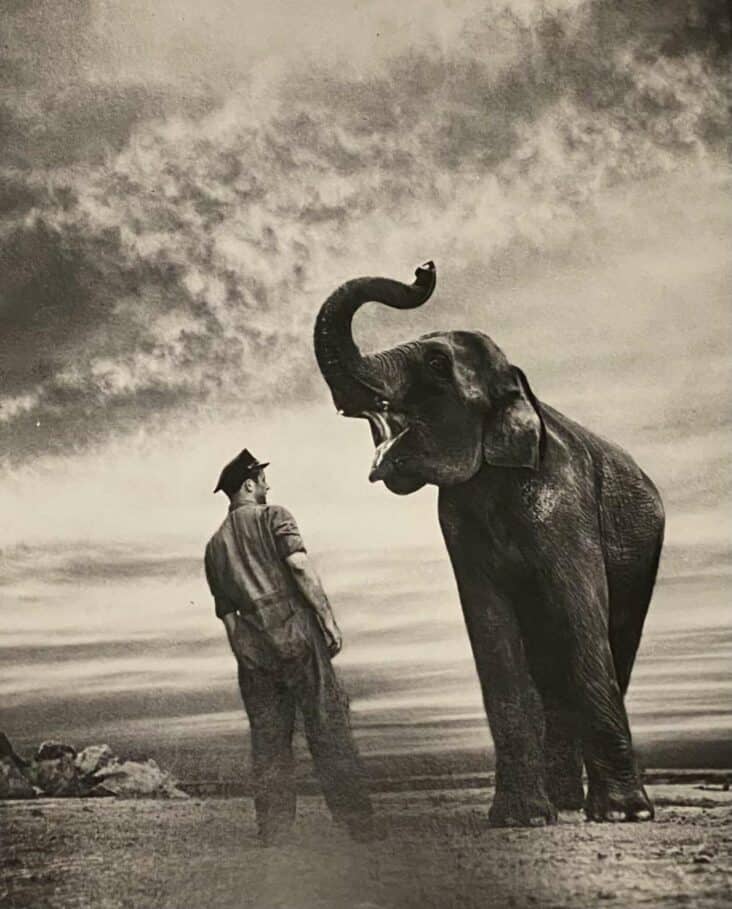50 Nostalgic Snapshots From The 1950s That Perfectly Depict How ...