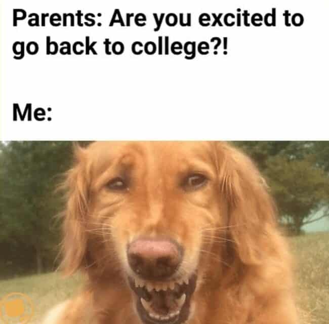 35 Back To School Memes For Teachers And Students Dreading The End Of ...