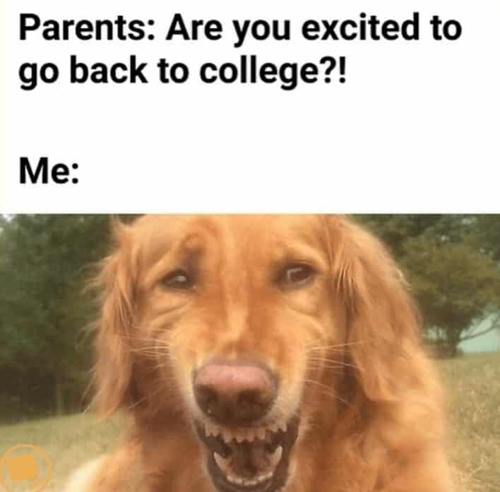 35 Back To School Memes For Teachers And Students Dreading The End Of ...