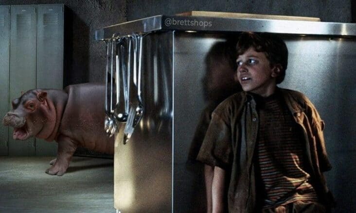 A Glorious Gaggle Of Giggle Worthy Memes