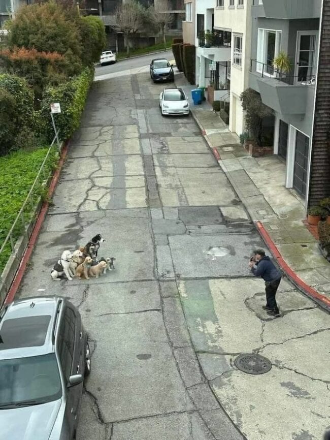 45 Funny And Wholesome Photos From "Animals In Random Places"