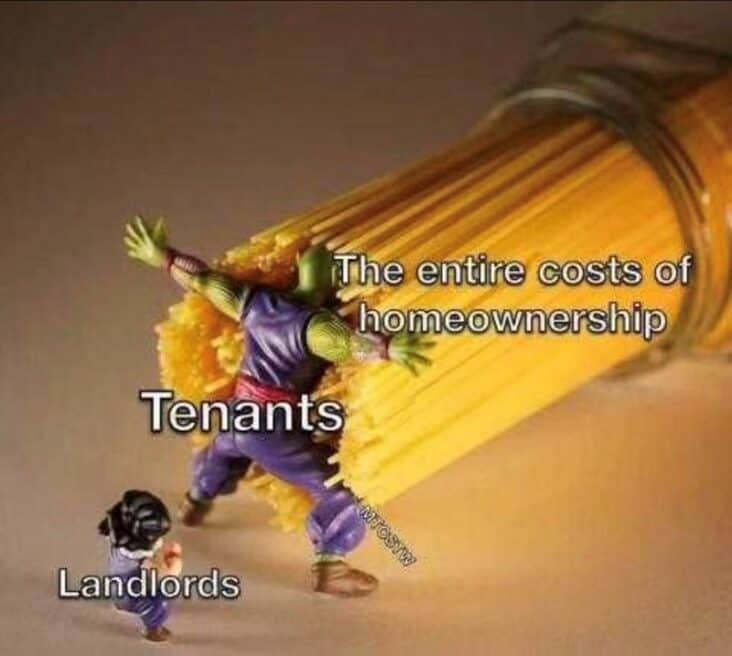 30 Bad Landlord Memes For Renters With Leaky Pipes And An Empty Bank ...