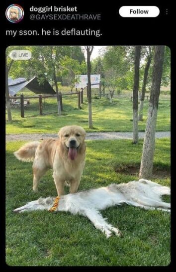 50+ Classic Memes From The 2000s And 2010s That Have Been Etched In The ...