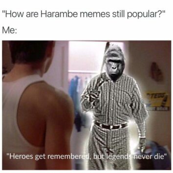 50+ Classic Memes From The 2000s And 2010s That Have Been Etched In The ...
