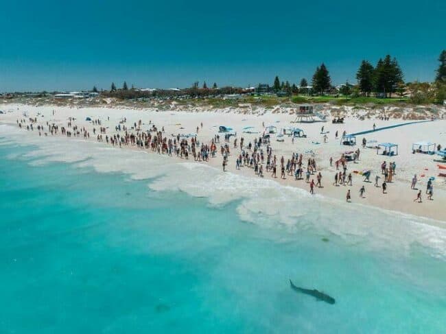 43 Very Australian Pictures Showing What An Amazing Place The Land Down ...