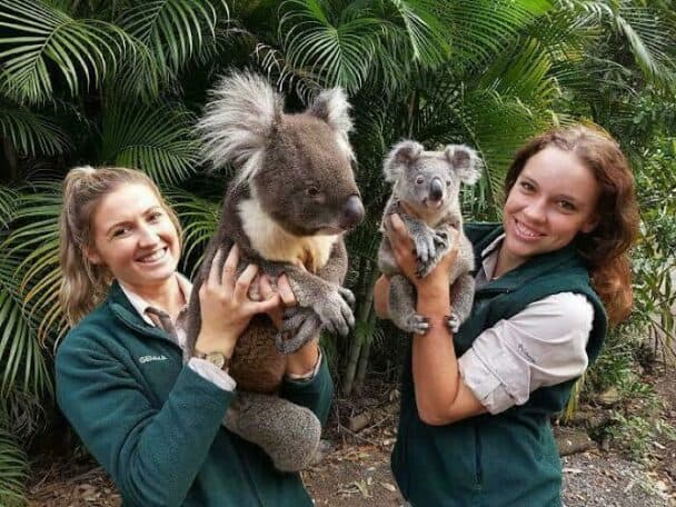 43 Very Australian Pictures Showing What An Amazing Place The Land Down ...