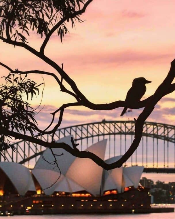 43 Very Australian Pictures Showing What An Amazing Place The Land Down ...