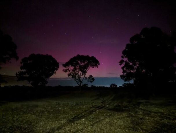 43 Very Australian Pictures Showing What An Amazing Place The Land Down ...
