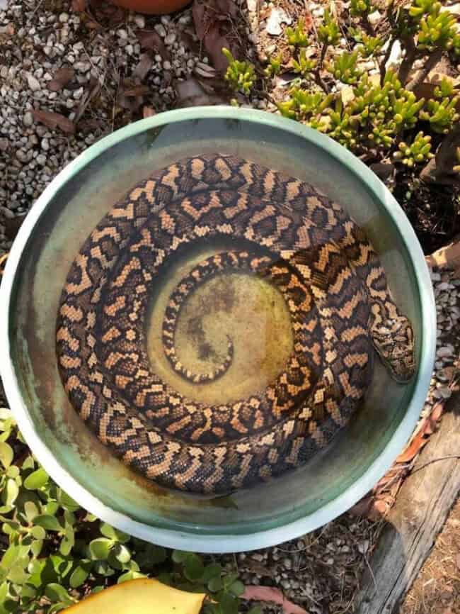 43 Very Australian Pictures Showing What An Amazing Place The Land Down ...