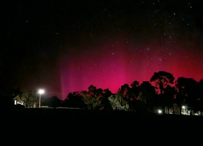 43 Very Australian Pictures Showing What An Amazing Place The Land Down ...