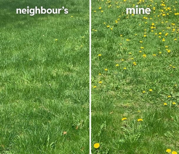 30 Cool Side-By-Side Comparisons Prove Life Is All About Perspective