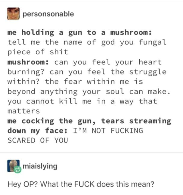 "Tumblr After Dark" — 35 Dark Humor Tumblr Memes Not For The Faint Of ...