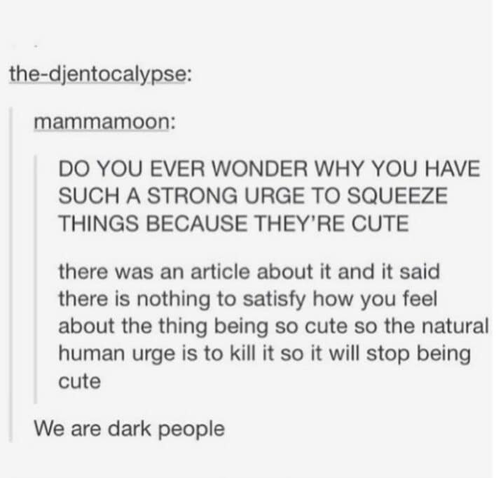"Tumblr After Dark" — 35 Dark Humor Tumblr Memes Not For The Faint Of ...