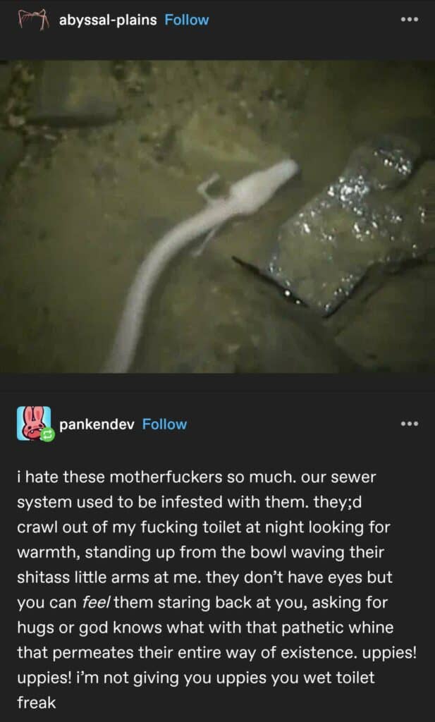 "Tumblr After Dark" — 50 Dark Humor Tumblr Memes Not For The Faint Of Heart