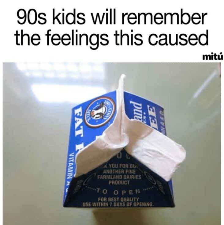 40 Nostalgic Millennial Memes From The 90s And Early 00s That Cut ...