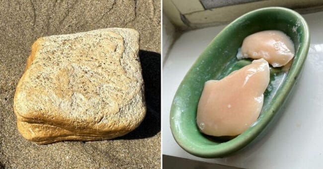 40 Times People Found "Forbidden Foods" That Looked Way Too Delicious ...