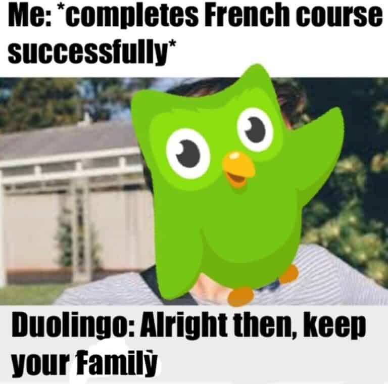 30+ Funniest Duolingo Memes For Cunning Linguists Terrified Of Losing ...