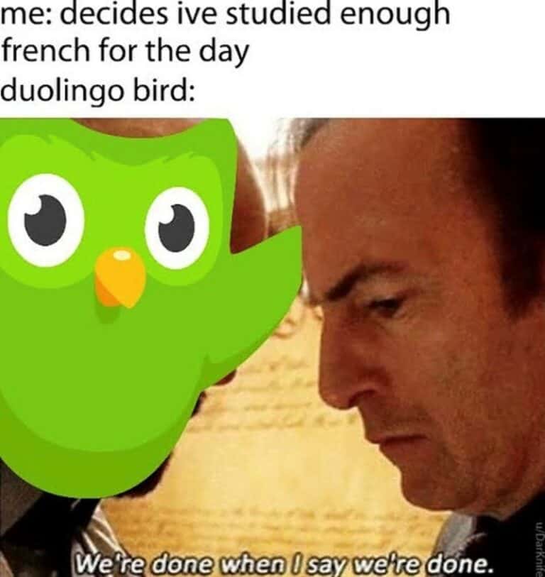 30 Funniest Duolingo Memes For Cunning Linguists Terrified Of Losing