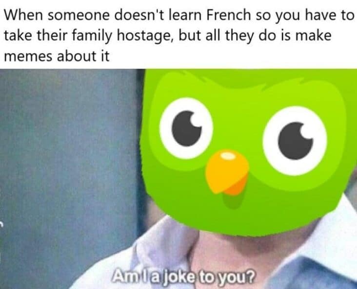 30+ Funniest Duolingo Memes For Cunning Linguists Terrified Of Losing ...