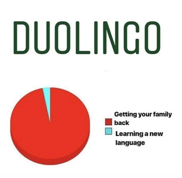 30+ Funniest Duolingo Memes For Cunning Linguists Terrified Of Losing ...