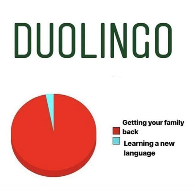 30+ Funniest Duolingo Memes For Cunning Linguists Terrified Of Losing ...