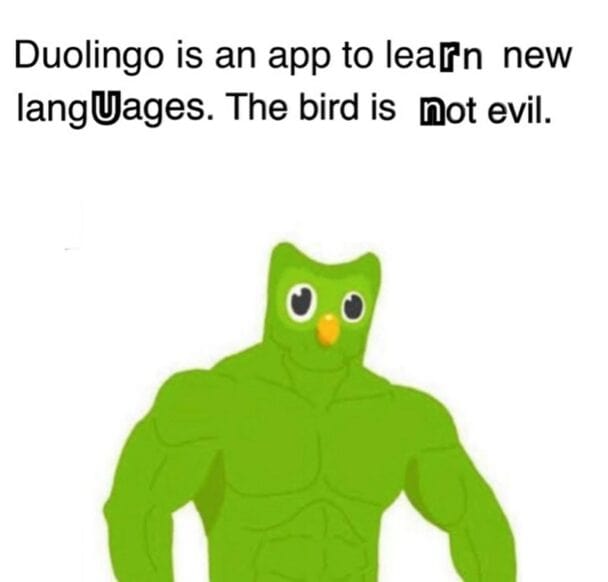 30+ Funniest Duolingo Memes For Cunning Linguists Terrified Of Losing ...