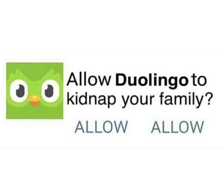 30+ Funniest Duolingo Memes For Cunning Linguists Terrified Of Losing ...