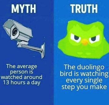 30+ Funniest Duolingo Memes For Cunning Linguists Terrified Of Losing ...