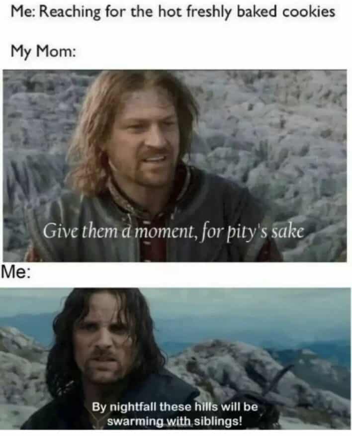 "Mordor Monday" — 35 Funniest Lord Of The Rings Memes Of The Week ...