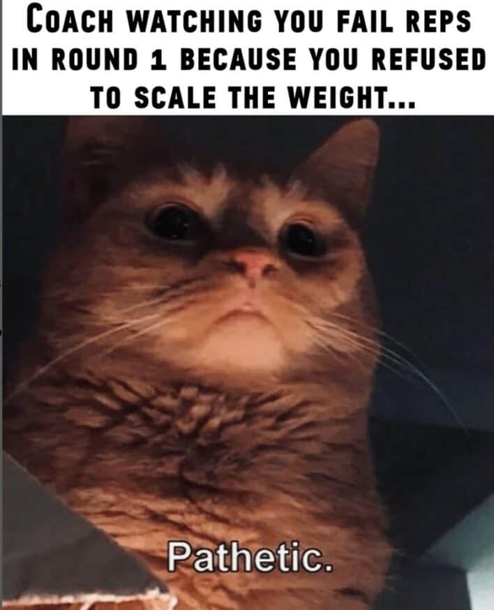 35 Funniest Workout Memes Pushing Maximum Gains This Week (September 16 ...