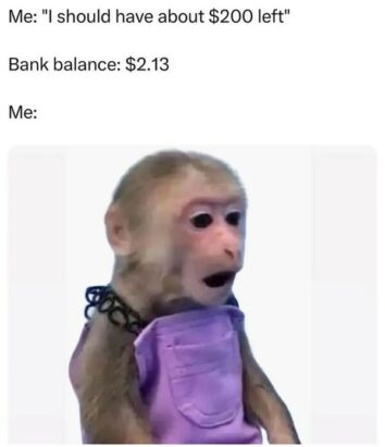 40 Funniest Animal Memes We Couldn’t Stop Laughing At This Week ...