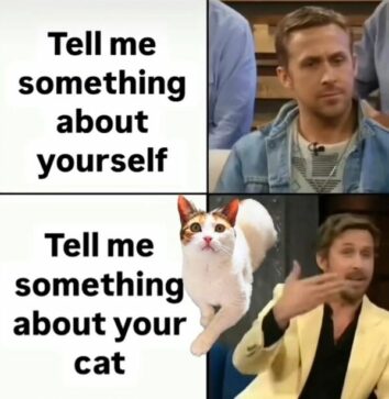 45 Funniest Animal Memes Of The Week That Are Paw-Sitively Hilarious ...