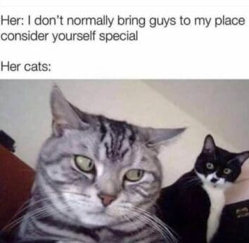 45 Funniest Animal Memes Of The Week That Are Paw-Sitively Hilarious ...