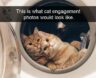 45 Funniest Animal Memes Of The Week That Are Paw-Sitively Hilarious ...