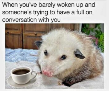 45 Funniest Animal Memes Of The Week That Are Paw-Sitively Hilarious ...