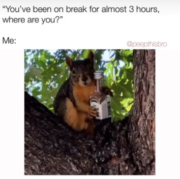 45 Funniest Animal Memes Of The Week That Are Paw-Sitively Hilarious ...