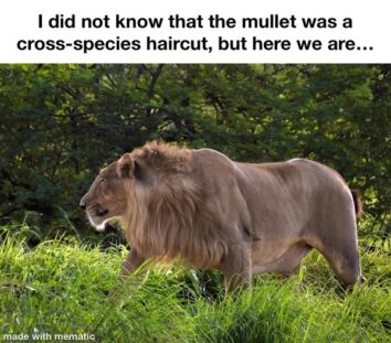 45 Funniest Animal Memes Of The Week That Are Paw-Sitively Hilarious ...
