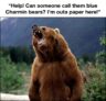 45 Funniest Animal Memes Of The Week That Are Paw-Sitively Hilarious ...