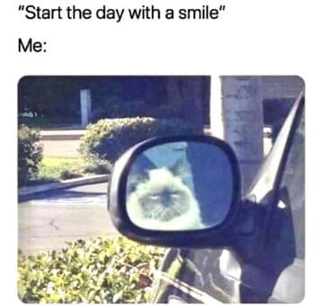 45 Funniest Animal Memes Of The Week That Are Paw-Sitively Hilarious ...