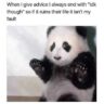 45 Funniest Animal Memes Of The Week That Are Paw-Sitively Hilarious ...