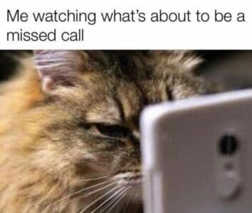 45 Funniest Animal Memes Of The Week That Are Paw-Sitively Hilarious ...
