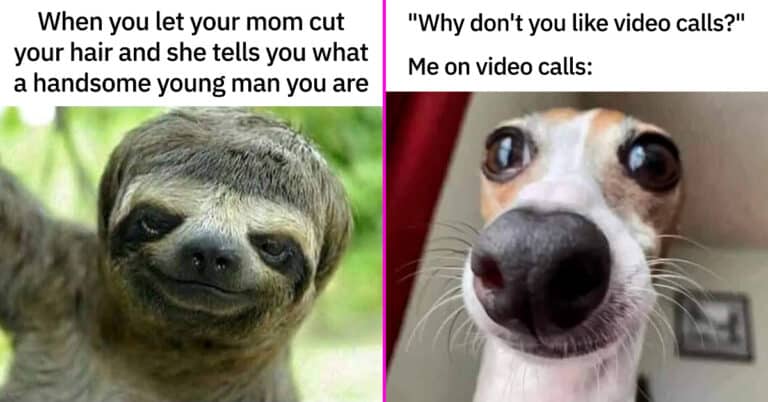 45 Funniest Animal Memes Of The Week That Are Paw-Sitively Hilarious (September 27, 2024)