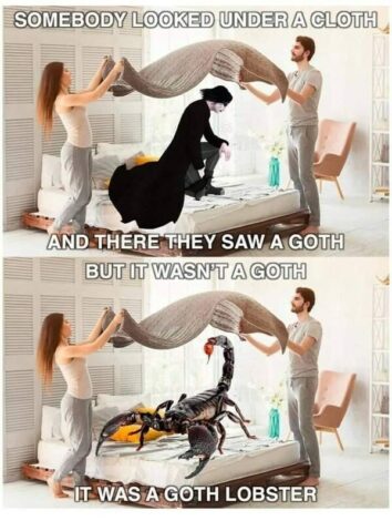 45 Wholesomely Funny Animal Memes That Lifted Our Spirits This Week ...