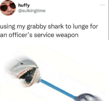 45 Wholesomely Funny Animal Memes That Lifted Our Spirits This Week ...