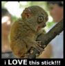 45 Wholesomely Funny Animal Memes That Lifted Our Spirits This Week ...