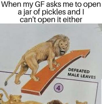 45 Wholesomely Funny Animal Memes That Lifted Our Spirits This Week ...