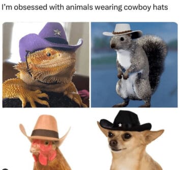 45 Wholesomely Funny Animal Memes That Lifted Our Spirits This Week ...