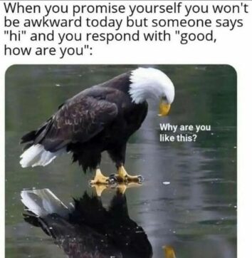 45 Wholesomely Funny Animal Memes That Lifted Our Spirits This Week ...