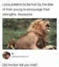 45 Wholesomely Funny Animal Memes That Lifted Our Spirits This Week ...